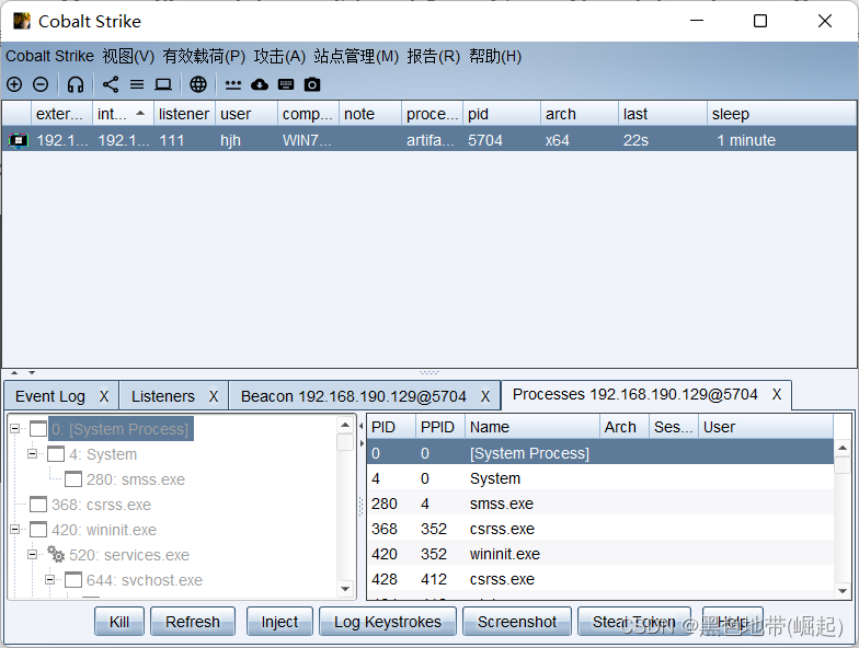 Cobalt Strike启动运行目标上线与插件加载教程-开发者社区-阿里云