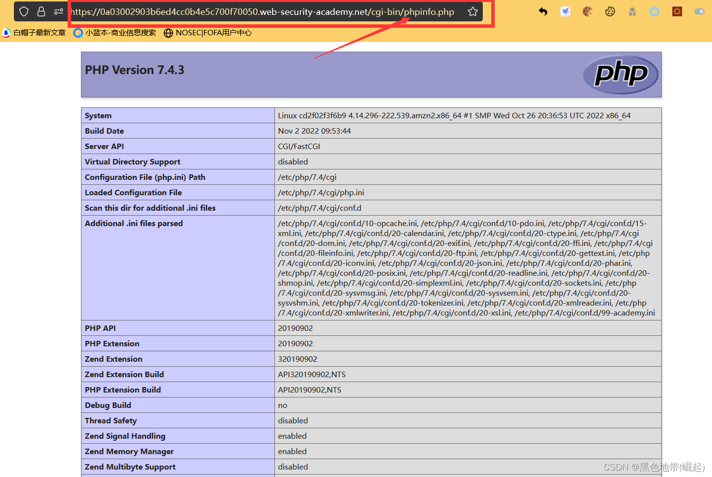 【BP靶场portswigger-服务端6】信息泄露漏洞-5个实验（全）（上）-阿里云开发者社区