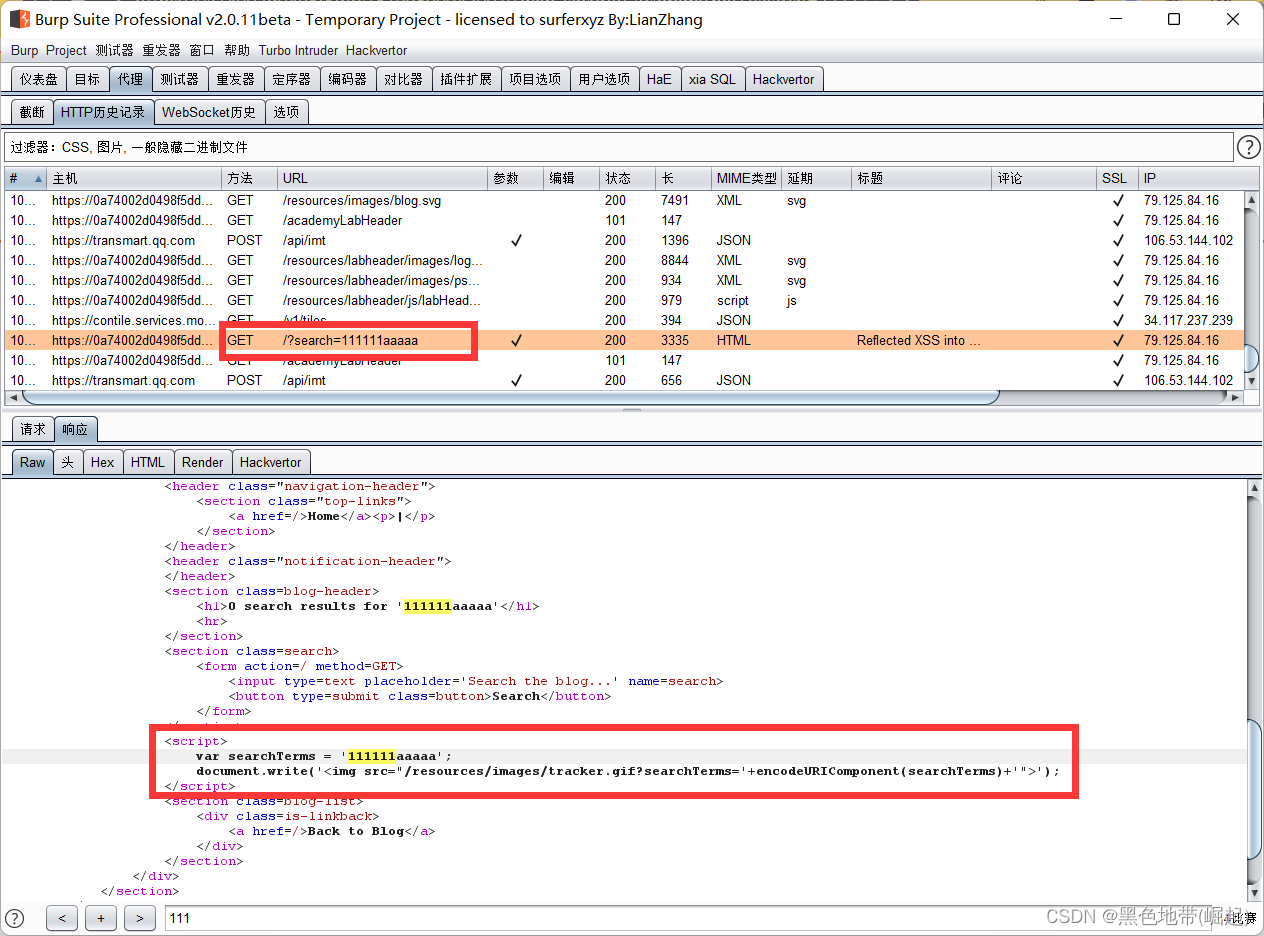 【BP靶场portswigger-客户端11】跨站点脚本XSS-20个实验（上）-阿里云开发者社区