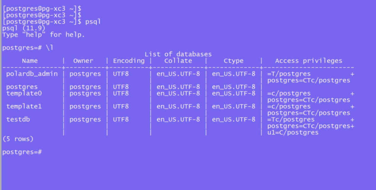 PolarDB for PostgreSQL 开源必读手册-PolarDB安装与配置（下）-阿里云开发者社区