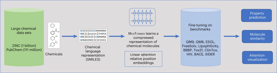 MOLFORMER大规模预训练SMILES语言模型精准预测分子性质-开发者社区-阿里云