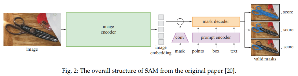分割一切模型SAM首篇全面综述：28页、200+篇参考文献（1）-阿里云开发者社区
