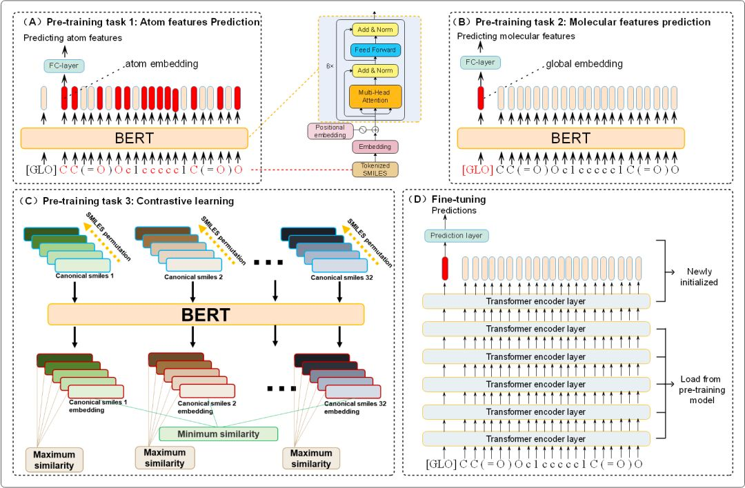 MGM、MolGPT、PAR、Uni-Mol、K-Bert、MolCLR…你都掌握了吗？一文总结生物制药必备经典模型（2）-阿里云开发者社区