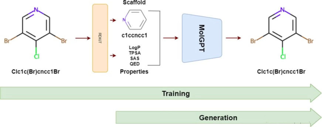 MGM、MolGPT、PAR、Uni-Mol、K-Bert、MolCLR…你都掌握了吗？一文总结生物制药必备经典模型（1）-阿里云开发者社区