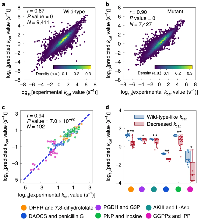 使用深度学习方法高通量预测代谢酶的 kcat，或可揭开细胞工厂的秘密-阿里云开发者社区