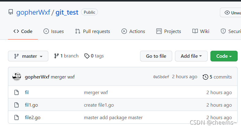 Git版本控制及Goland使用Git教程(一）-阿里云开发者社区
