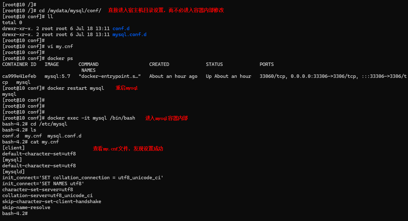 Docker安装mysql详细教程， mysqld: Can‘t read dir of ‘/etc/mysql/conf.d/‘（报错已解决）-阿里云开发者社区