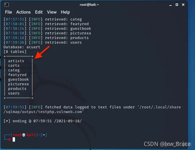 Kali下Sqlmap工具使用方法之POST方法篇-阿里云开发者社区
