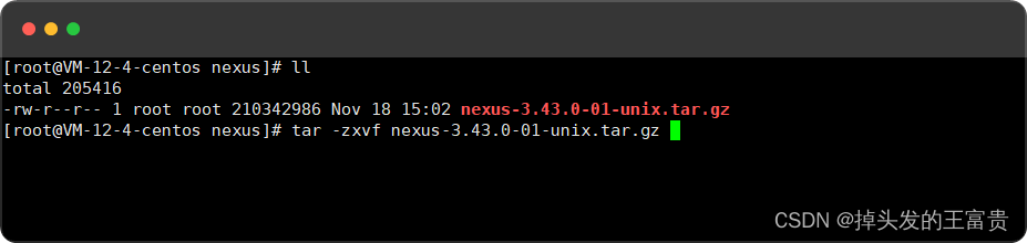 Linux安装Nexus（图文解说详细版）-阿里云开发者社区