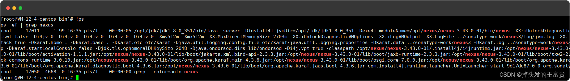 Linux安装Nexus（图文解说详细版）-阿里云开发者社区