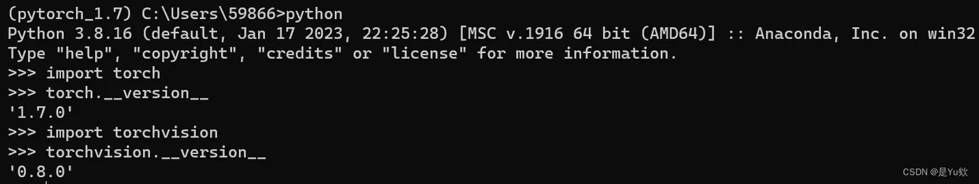 win11+pytorch1.7.0+python3.8（也可以是python3.7）+cuda11.0-阿里云开发者社区