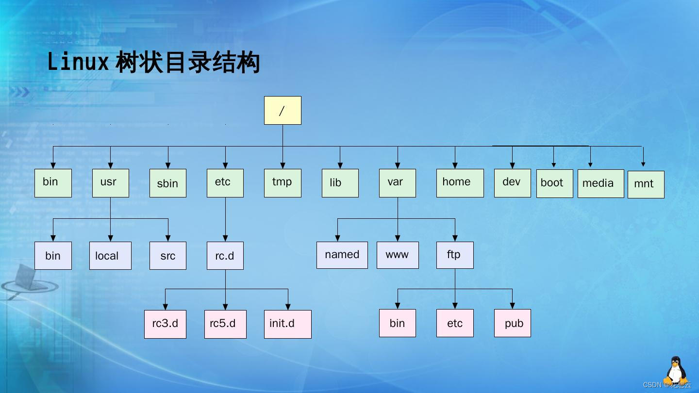 『linux从入门到精通』第 ② 期 Linux基本指令(一) 阿里云开发者社区
