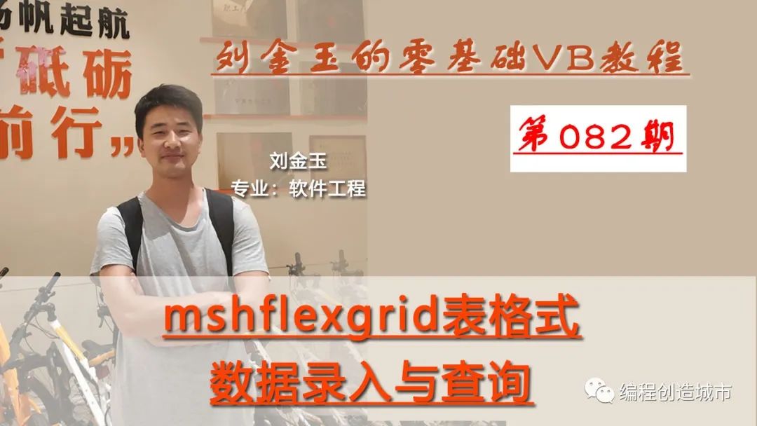 刘金玉的零基础VB教程082期：mshflexgrid表格式数据录入与查询-阿里云开发者社区