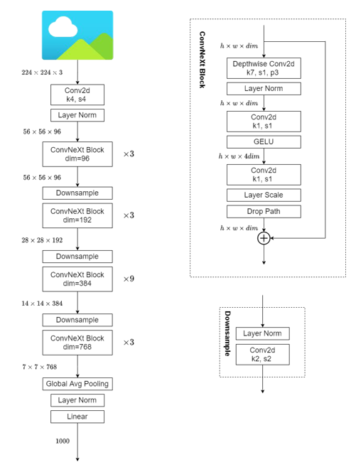 ConvNeXt网络介绍,搭建以及训练-阿里云开发者社区