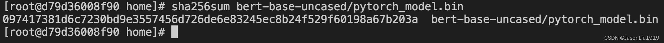 使用git lfs一行命令下载Hugging Face完整模型-开发者社区-阿里云