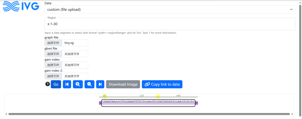 植物泛基因组分析之可视化vg构建的Pan-SV初次尝试-阿里云开发者社区