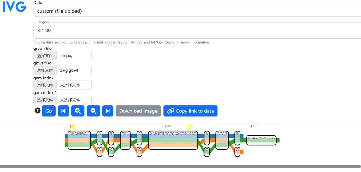 使用vg构建图泛基因组并用sequenceTubeMap可视化-开发者社区-阿里云