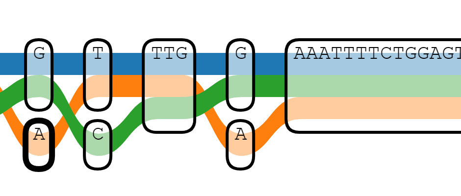 植物泛基因组分析之可视化vg构建的Pan-SV初次尝试-阿里云开发者社区