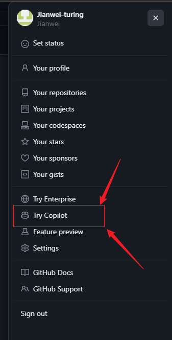 Qt 配置GitHub Copilot-阿里云开发者社区