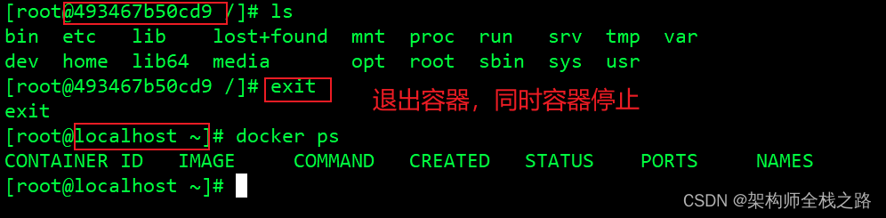 Docker入门教程从安装配置到镜像与容器的核心常用命令管理-开发者社区-阿里云