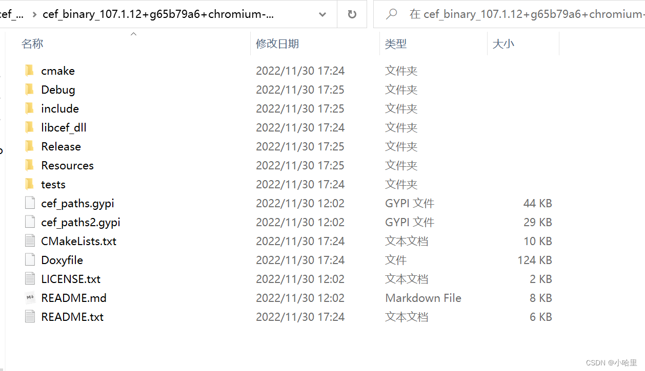Web前端项目的跨平台桌面客户端打包方案之——CEF框架-阿里云开发者社区