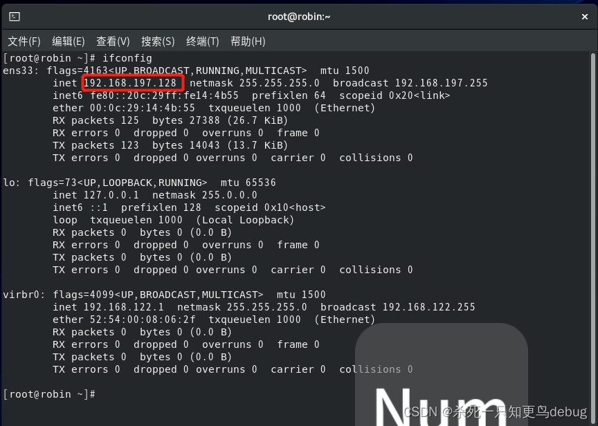 Xshell和Xftp的下载和在linux虚拟机中的使用-阿里云开发者社区