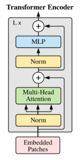 极智AI | 详解ViT算法实现-阿里云开发者社区