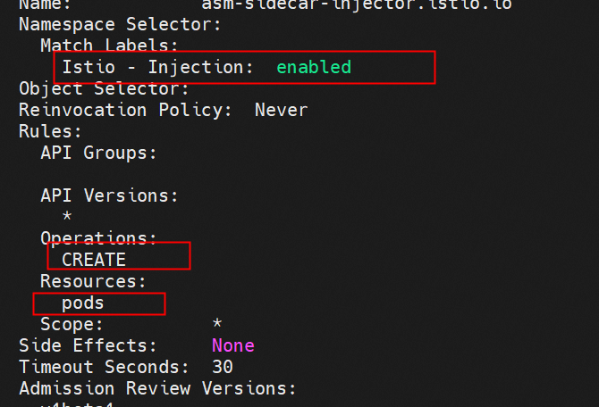 全景剖析阿里云容器网络数据链路（六）—— ASM Istio-阿里云开发者社区