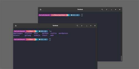 如何在 Linux 中安装 Fish Shell（带 Starship）？-阿里云开发者社区